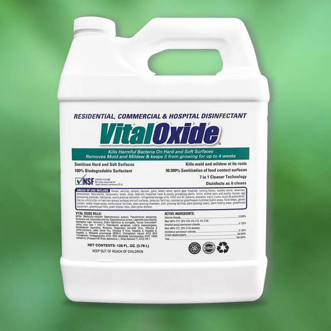 Hotsy Water Blast | Vital Oxide